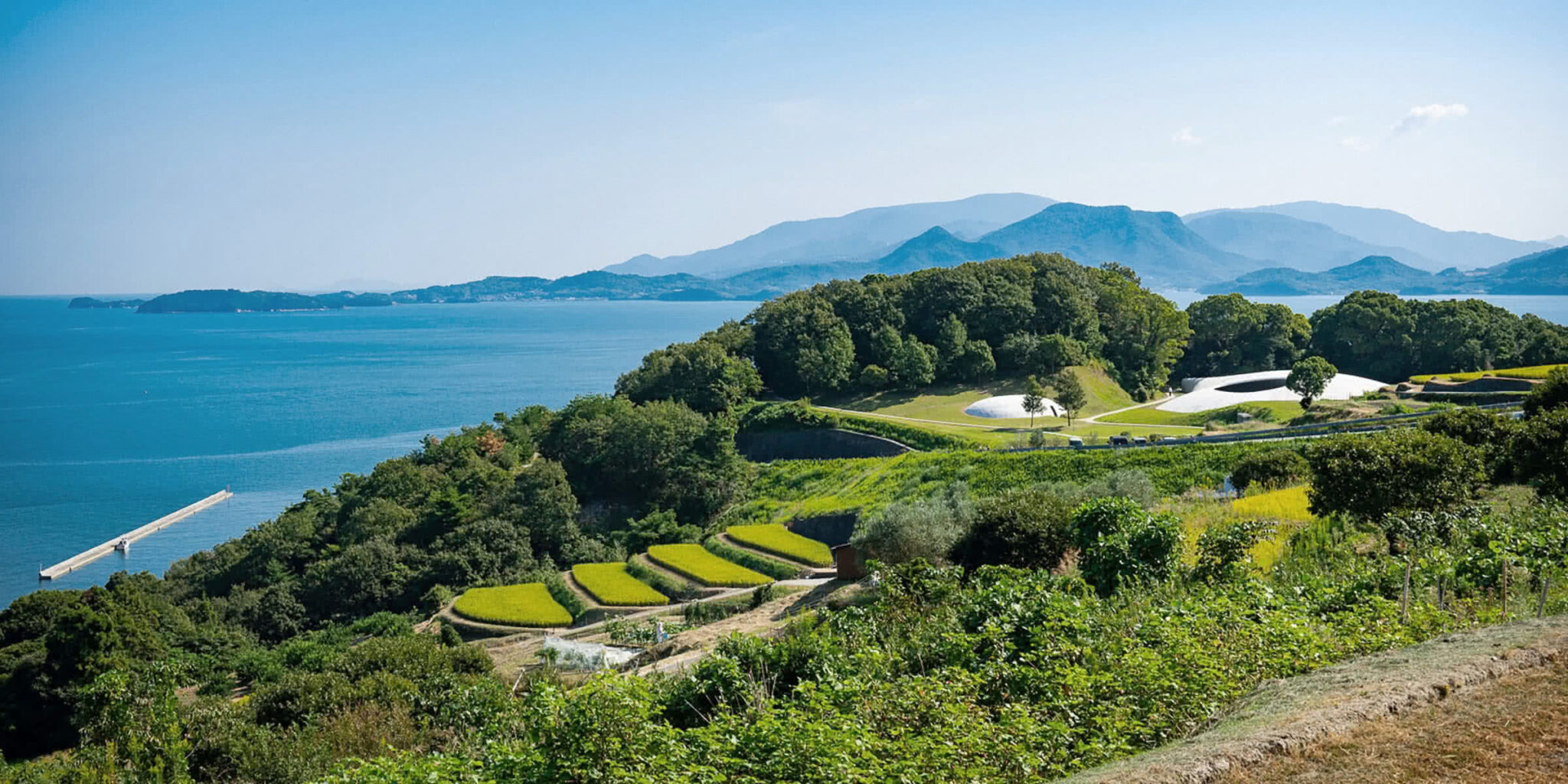 Shikoku: Japan’s Mystical And Laidback Island You Should Really Visit